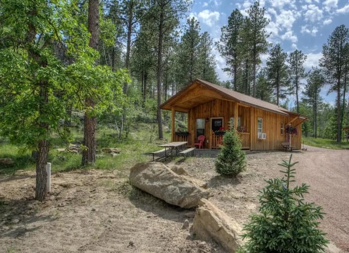 Black Hills Custom Cabin Near Mount Rushmore – Yr3 - Keystone, SD