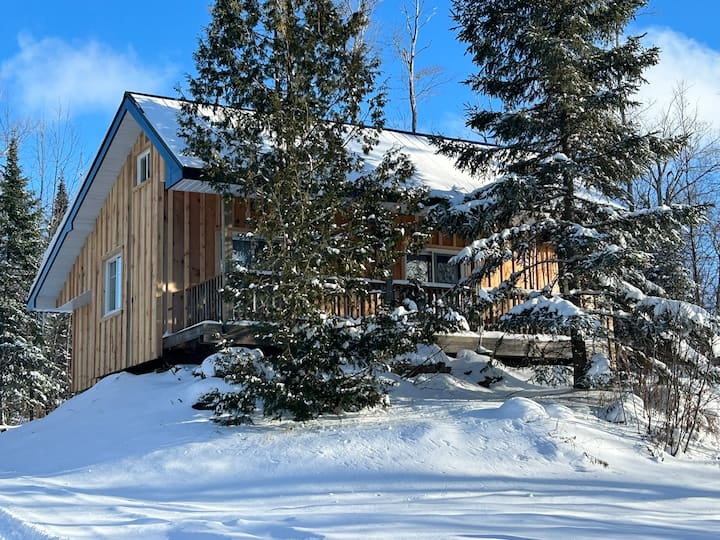 Cabin In The Woods - Ontario