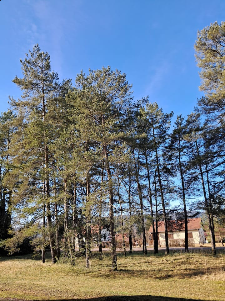 T1 Bis Entre Lacs Et Montagnes - Clairvaux-les-Lacs