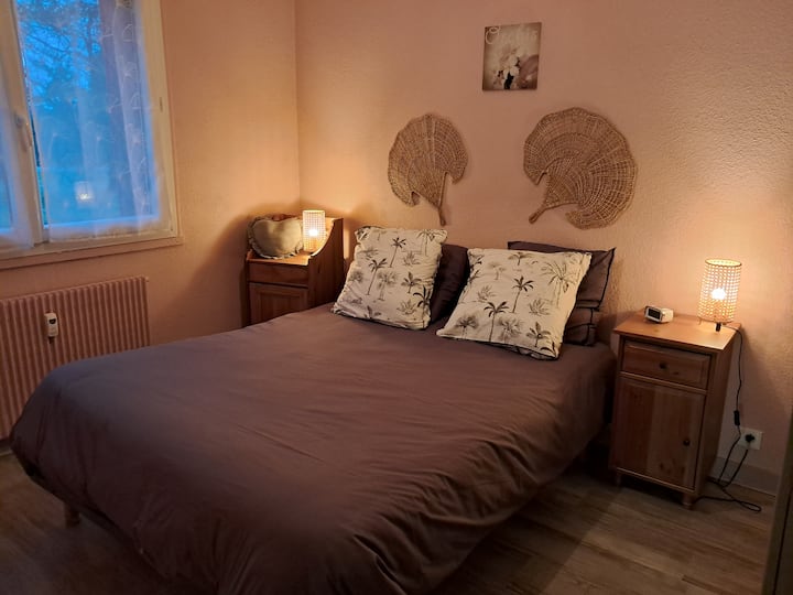 T1 Bis Entre Lacs Et Montagnes - Pont-de-Poitte