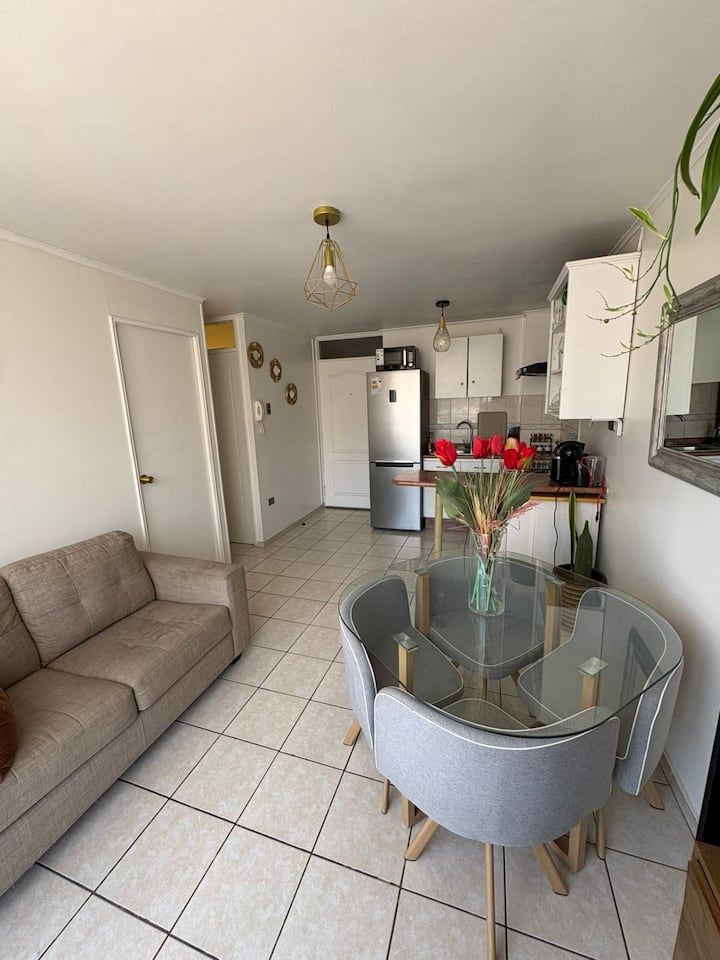 Valle Copiapo - Antofagasta