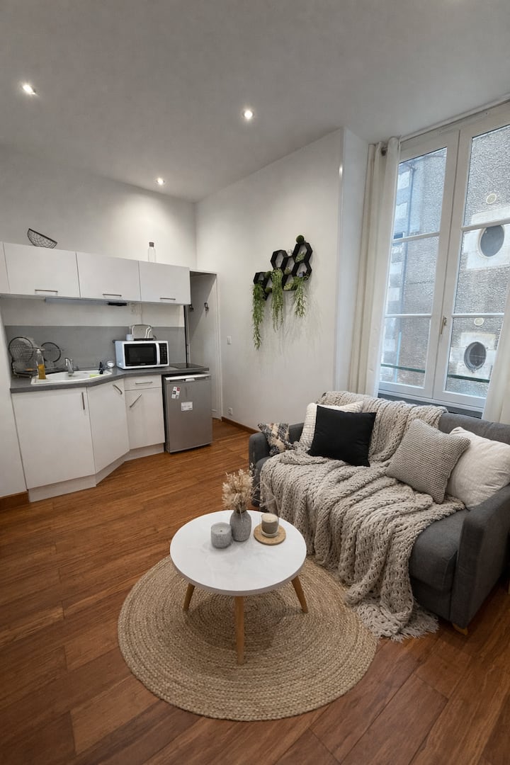 Cosy Appartement Poitiers Centre-ville - ibis Styles Poitiers Nord