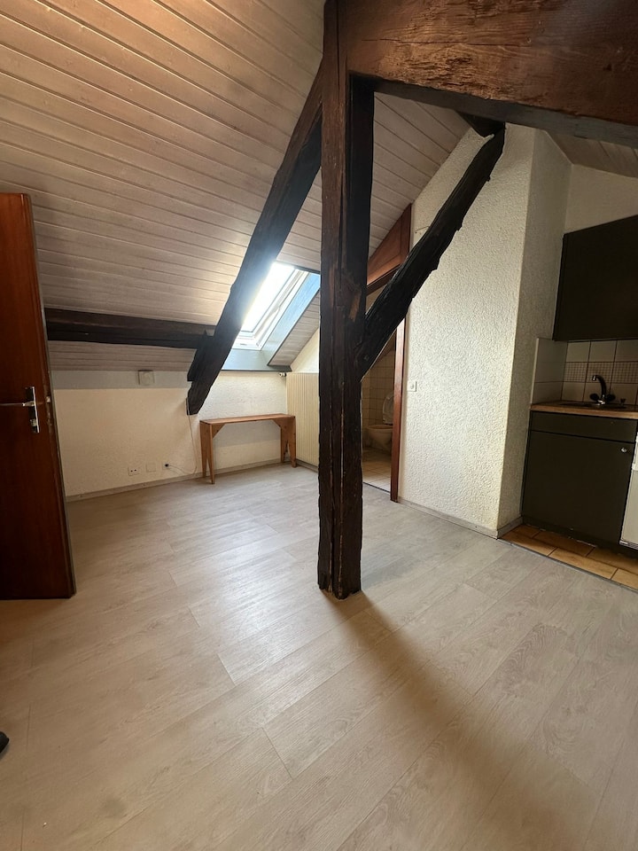 Studio Proche Station De Ski - Vevey