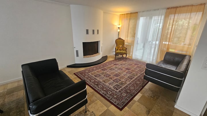 City + Nature: Large 4br+ Home W/ Rooftop Terrace - Zürich
