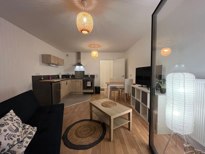 Le Lumineux Valenciennois - Hypercentre - Valenciennes