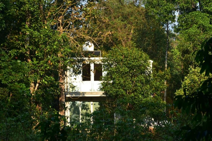 Family Home - Thodupuzha