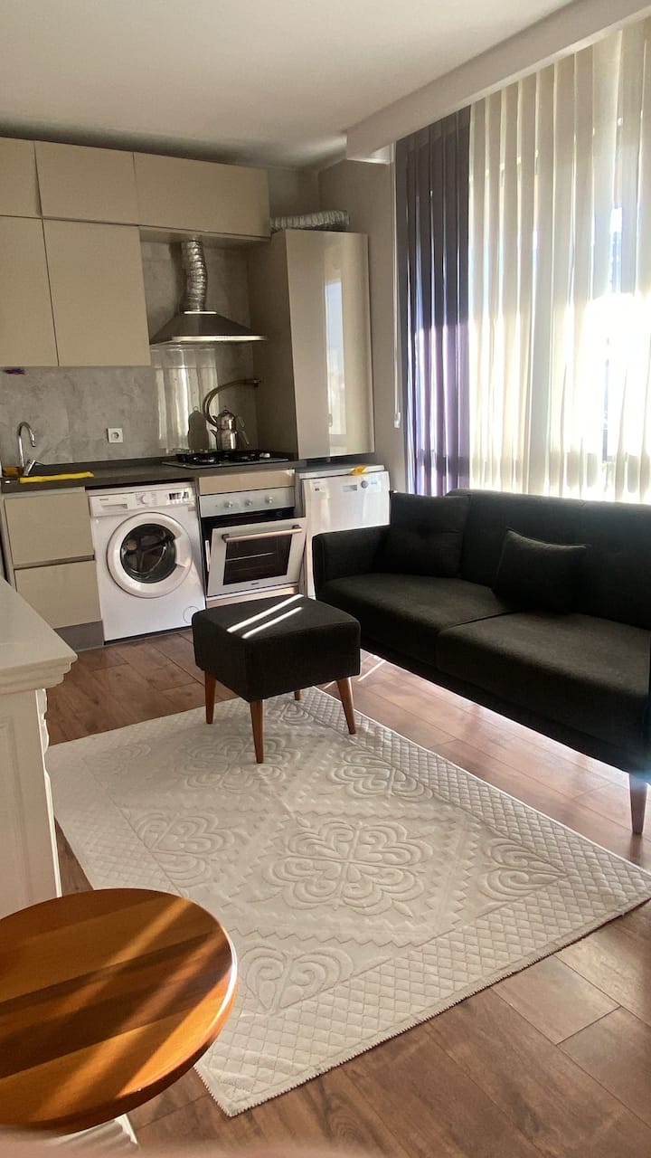 1+1 Eşyalı Daire Beykoz Paşa Konaklarında - Riva