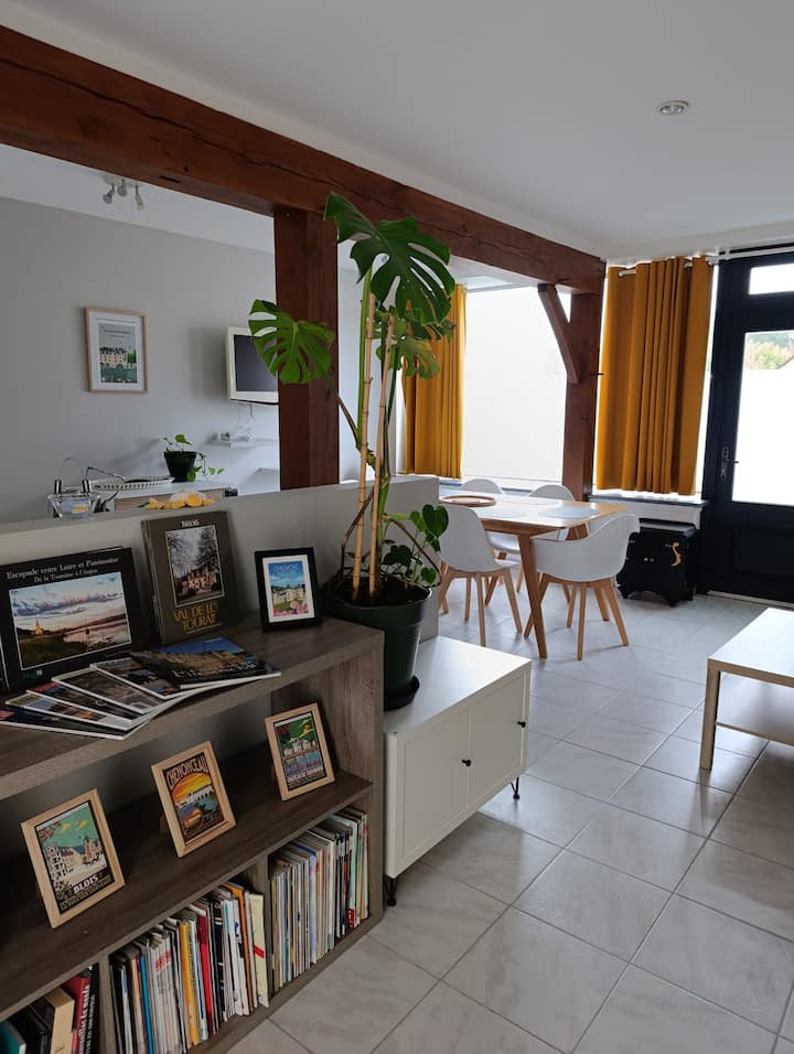 Logement En Rdc Avec Terrasse à 6min Du Zoo - Saint-Aignan-sur-Cher