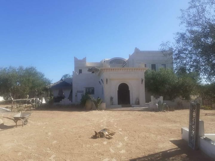 Amazing Authentic Djerbian House Swimming Pool - Djerba