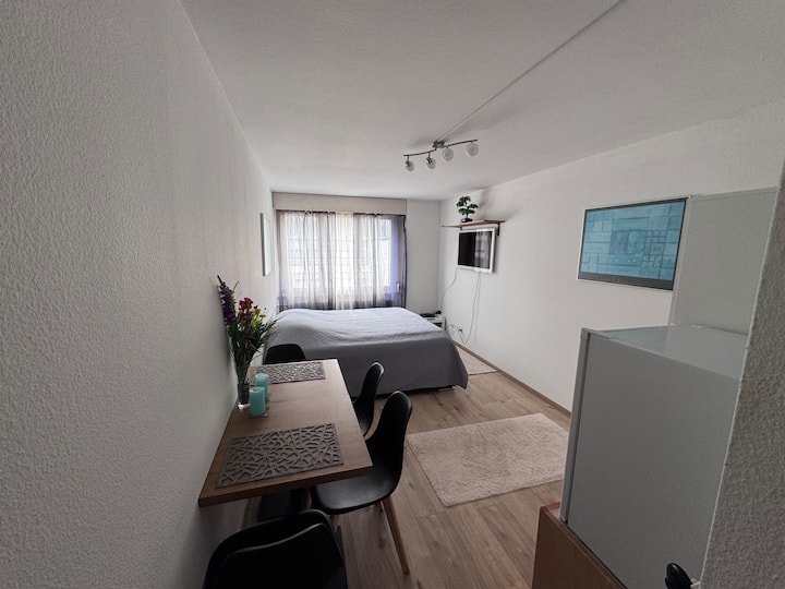 1-zimmer Wohnung Marzili Bern - Bern