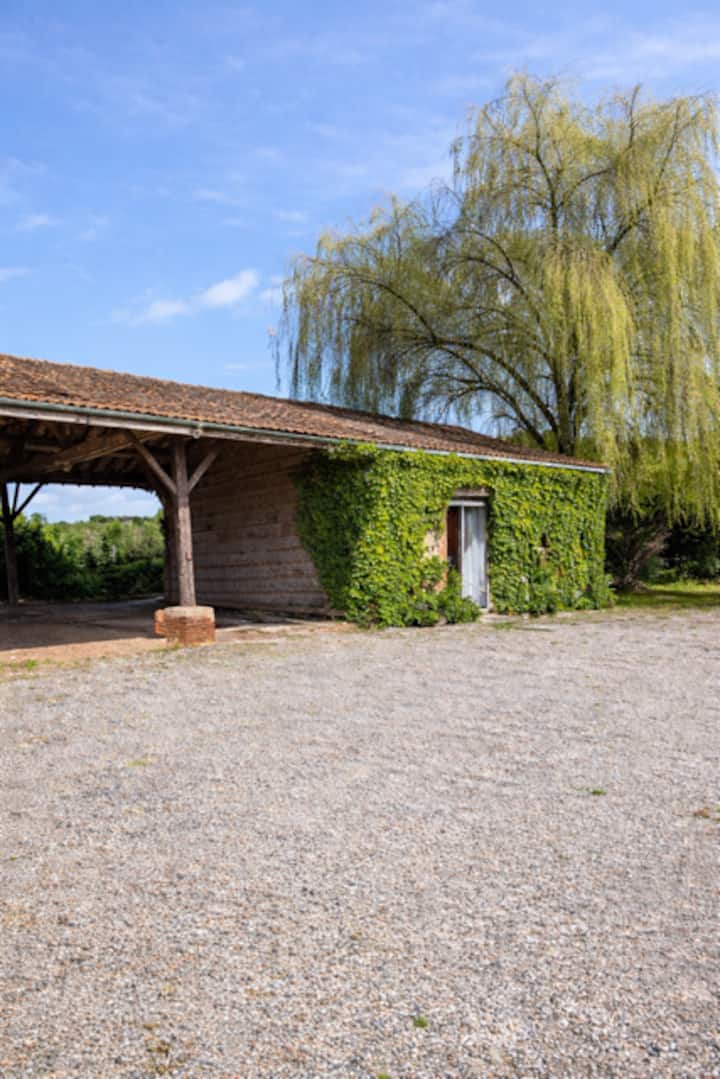 Maison Harmonia Avec Jacuzzi Et Sauna Privatif - Auterive