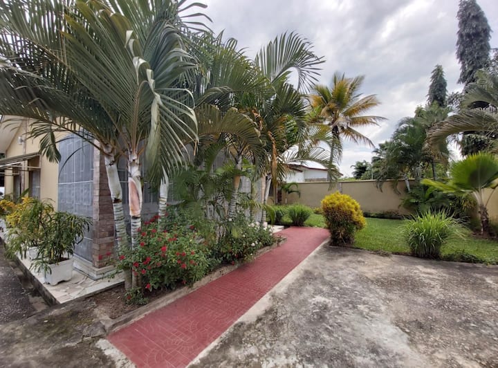 The Palm House - Burundi