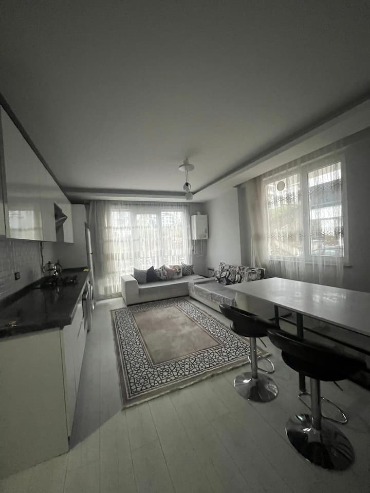 2+1 Dublex Ev - Atakum