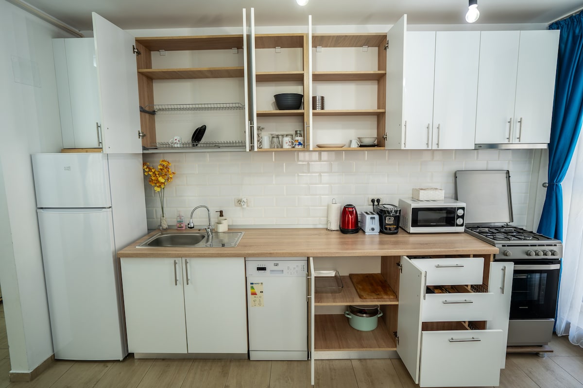 POP3 - Cismigiu Downtown Apartment - Flats for Rent in Bucharest ...