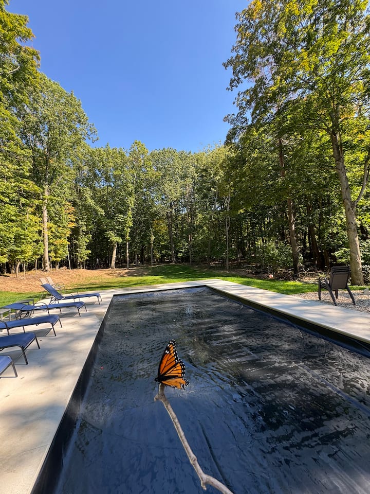 Blueberry Grand Retreat - Saugatuck, MI