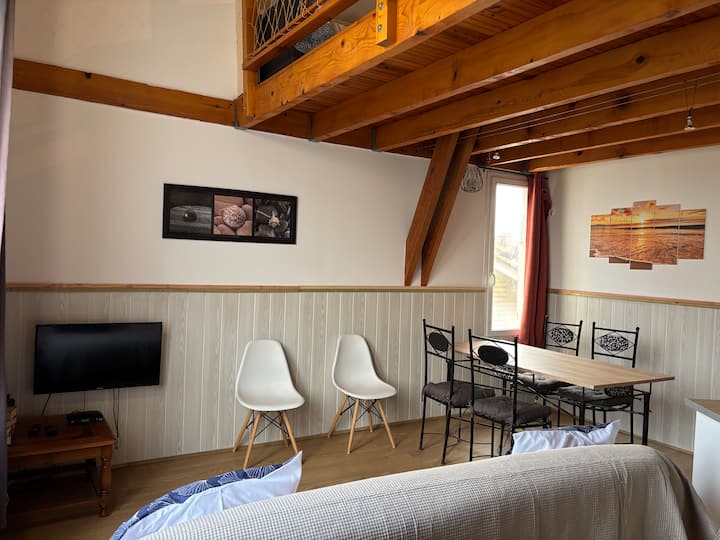 Appartement Mezzanine En Bord De Mer - Mimizan Plage