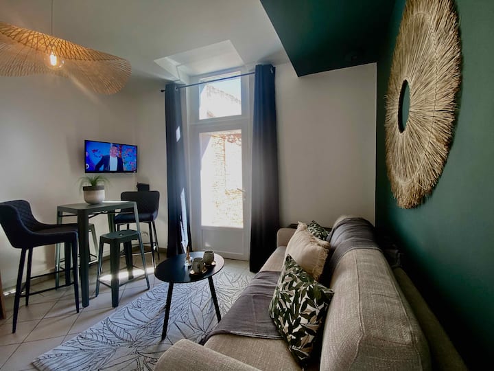 Le Saint Jean, Parking Et Climatisation - Montauban