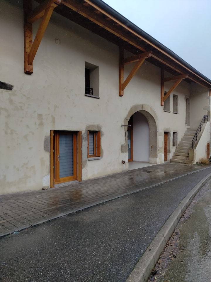 Atypique 40 M² - Neydens