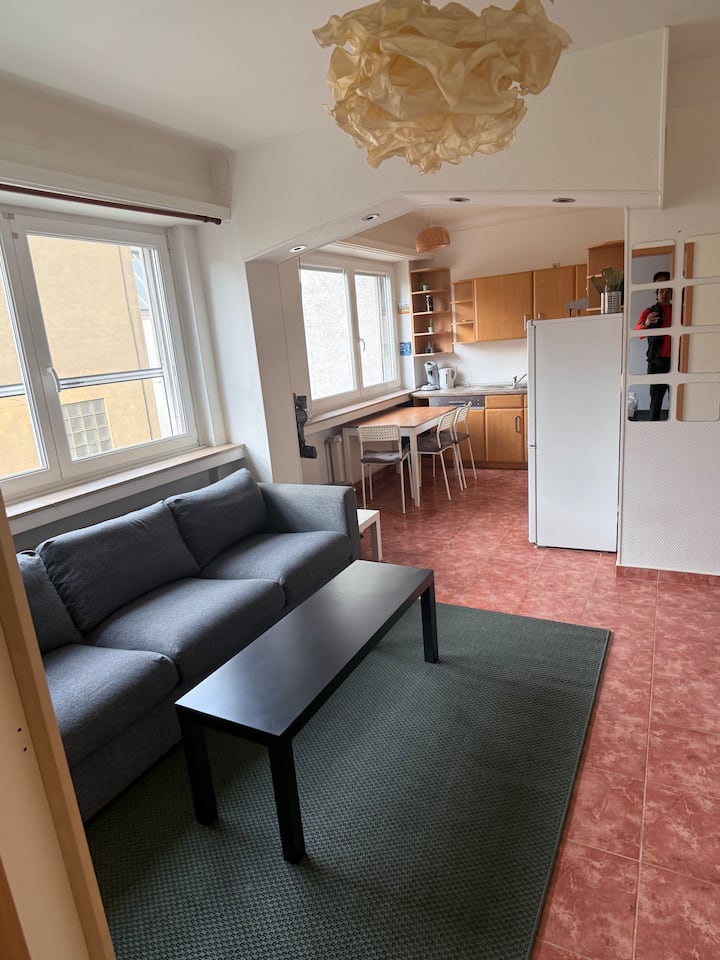 Appartement 1 Chambre Calme Et Confortable – - Luxembourg