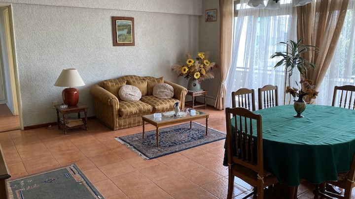 Departamento Edificio Prales Frente Plaza De Armas - Valdivia