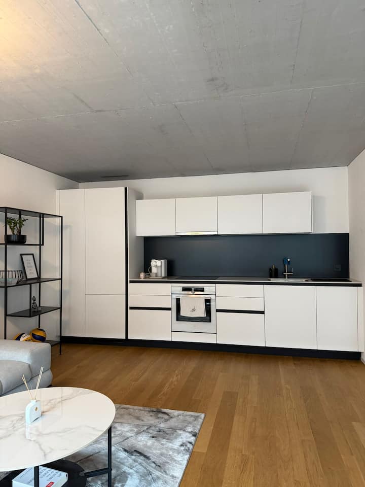 Gemütliche Wohnung In Zentraler Lage - Lucerne