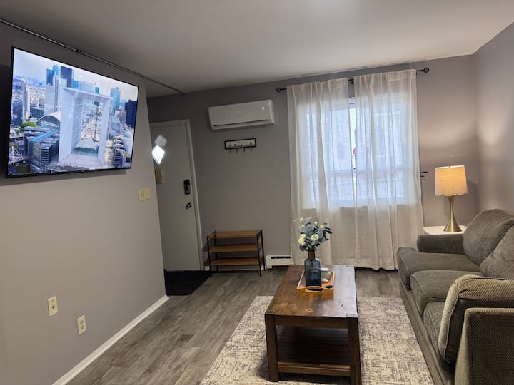 Adorable European Apartment - Oswego, IL