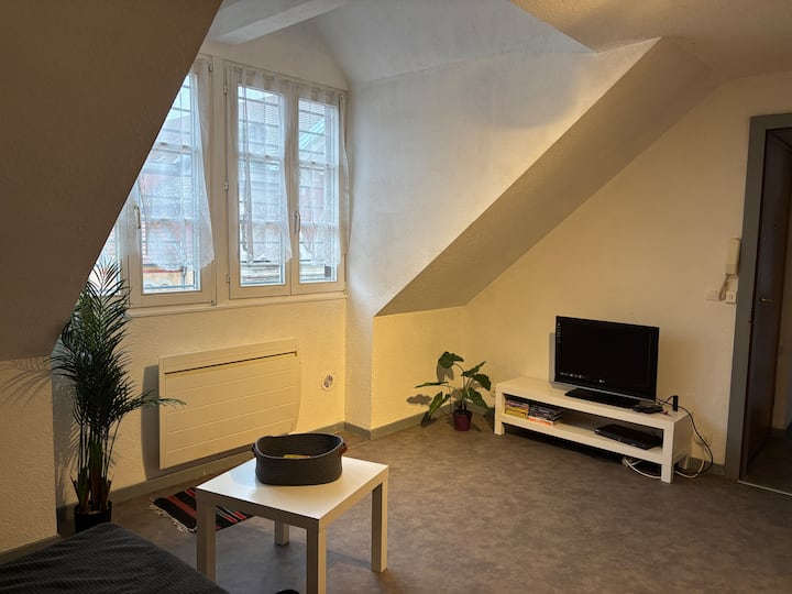 Chambre D’hôtes Plein Centre - Strasbourg