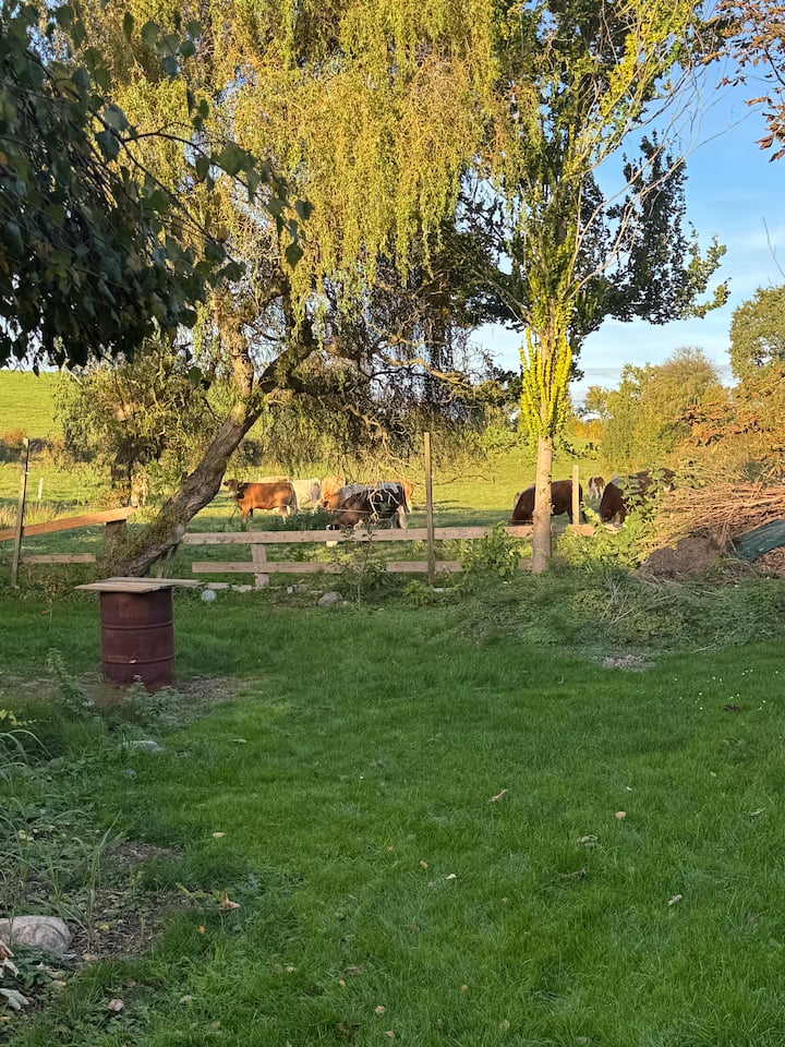 Ostseenähe. Gemütlich Und Familienfreundlich - Ahrensbök