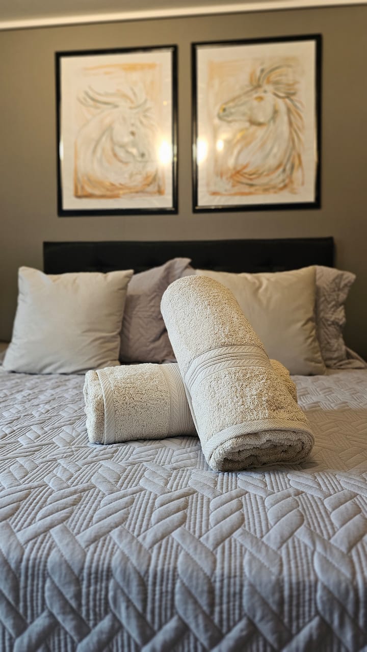 Elegante Y Cálido Depto Toesca - Movistar Arena - Chile