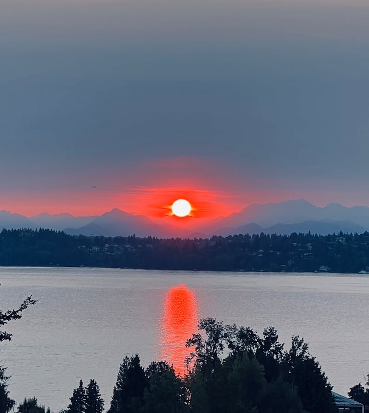 Cozy Lakeview Condo In Quiet Kirkland Neighborhood - カークランド, WA