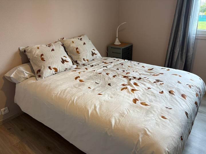 Chambre Confortable - Saint-Gaudens