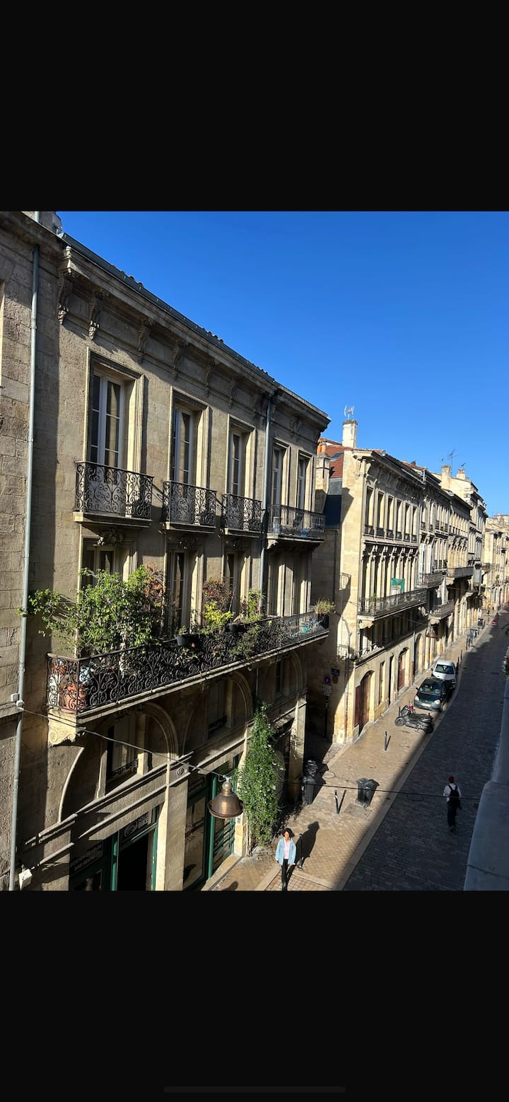 Appartement Haussmannien Au Cœur De Bordeaux - Bordeaux