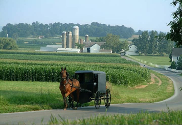 Dutch Country Charmer - Lancaster, PA