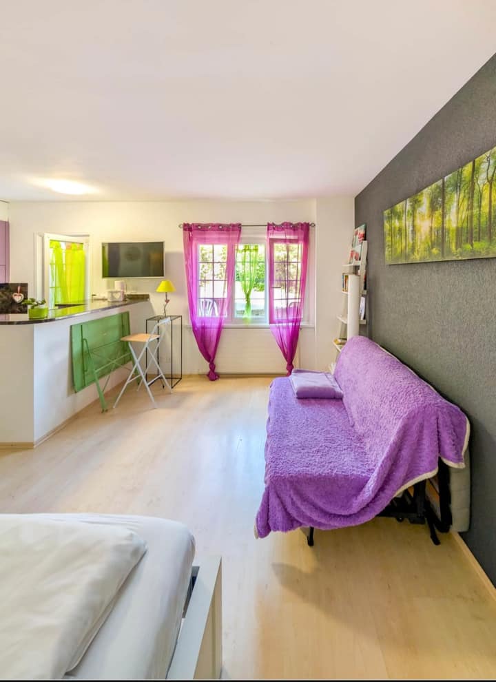 Splendide Studio à 5 Min Des Remontées à Ski - Villars-sur-Ollon