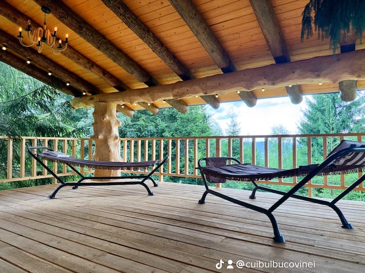 Cuibul Bucovinei - Poiana Stampei