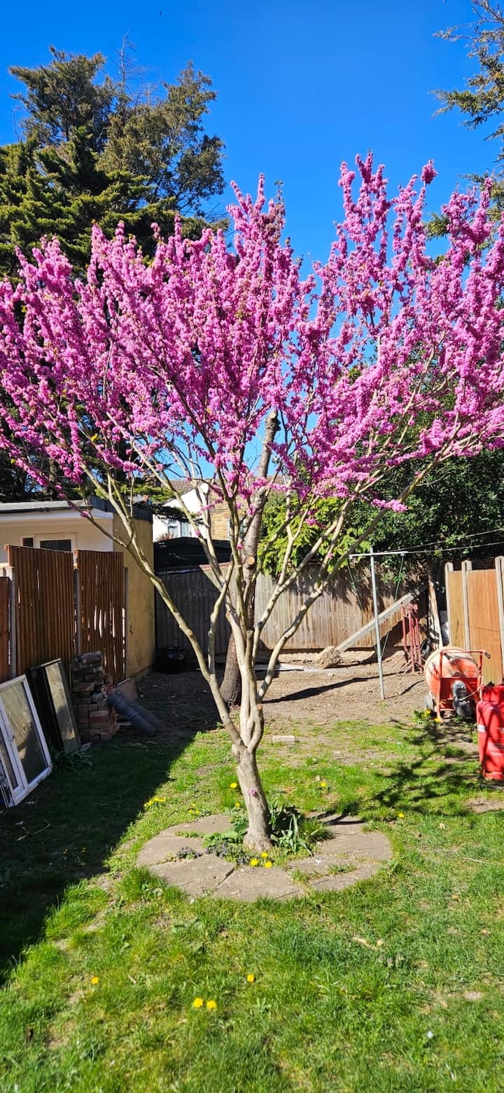 Spacious 5bedroom House Near Stratford Area - Londres