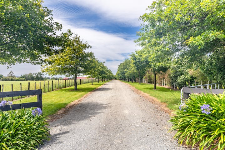Greystoke Lodge, Dalefield - Greytown