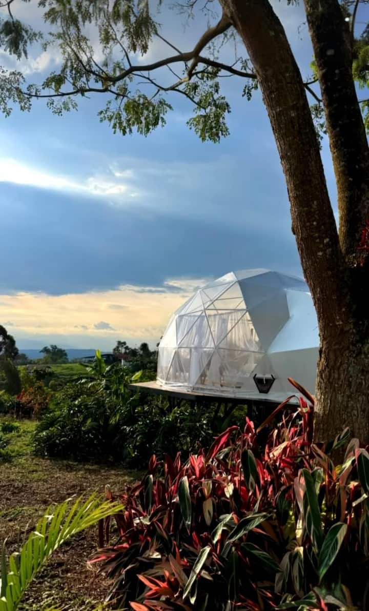 Bella Vista  -Glamping - Sevilla