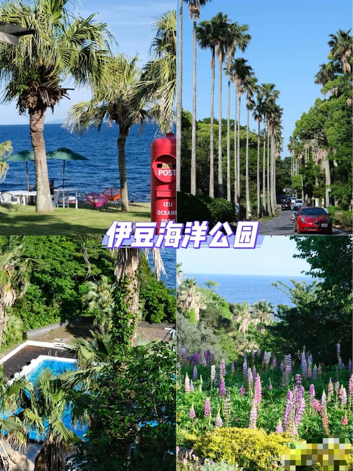 城崎海岸木屋樱之家 - Kawana