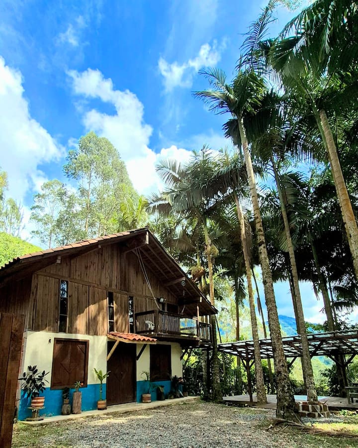 Casa Del Río Jardín - Jardín