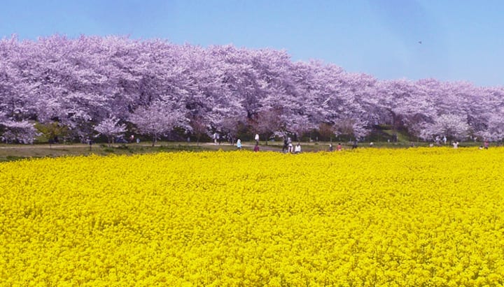 【Open割】駅徒歩2分/ゆったり過ごす/2〜5名/平屋55㎡/高速wi-fi/ファミリー・長期歓迎 - Kuki