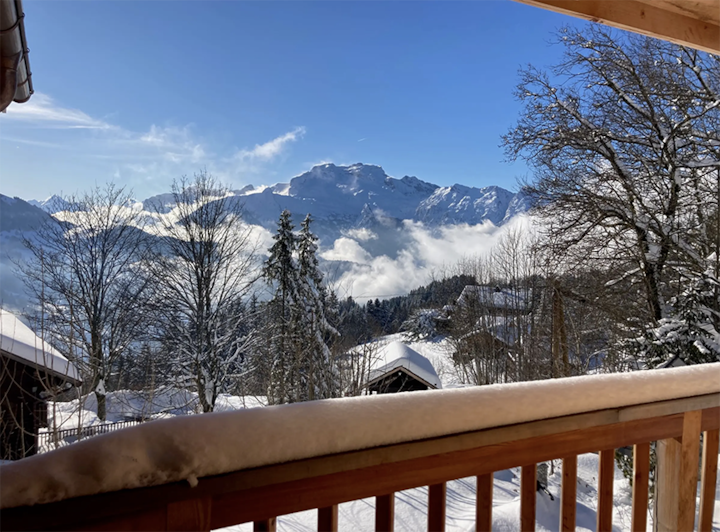 Chalet Familial Cosy - Manigod