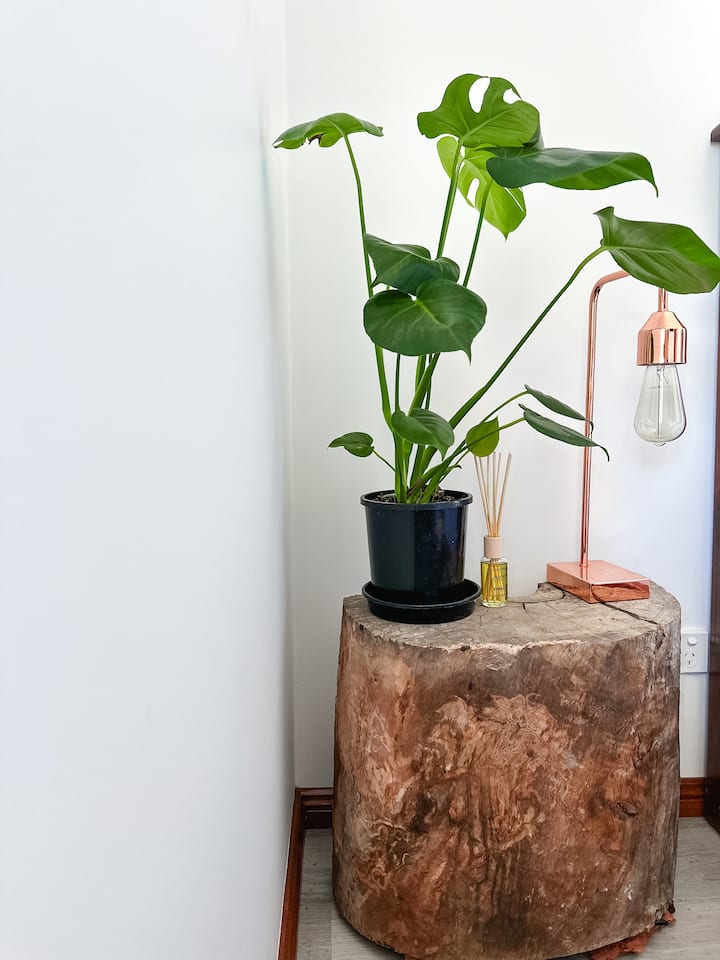 Bushwood Hideaway | Rustic Design + Modern Comfort - Murray Bridge