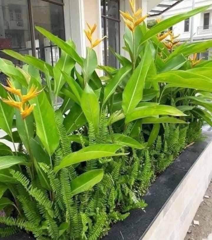 Beautiful House In A Resort With Full Furniture. - Vinh