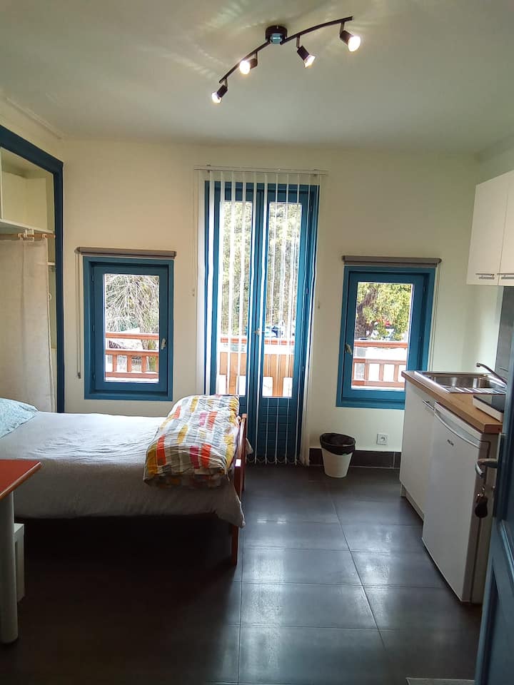 Studette Lumineuse & Cosy Au Cœur Du Centre - Chambéry