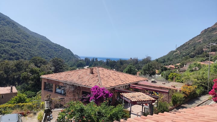 Appartement Porto-ota Vue Mer Et Montagne - Piana