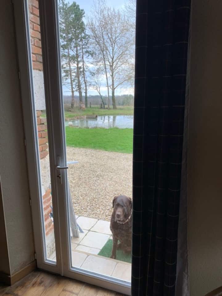 Tartan - Aubigny-sur-Nère