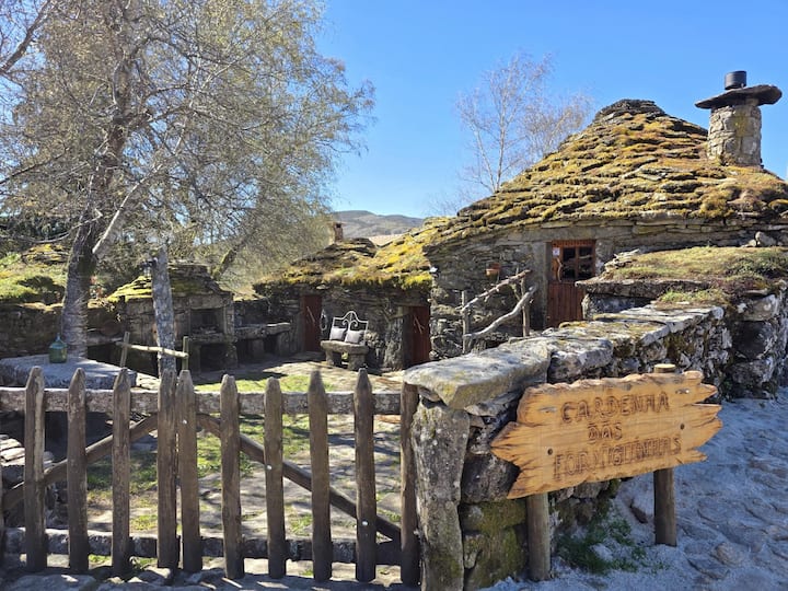 Cardenha Das Formiguinhas - Soajo