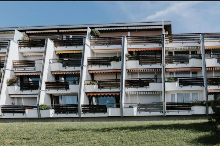 In Der Wunderschönen Naturlandschaft Von Scheidegg - Scheidegg