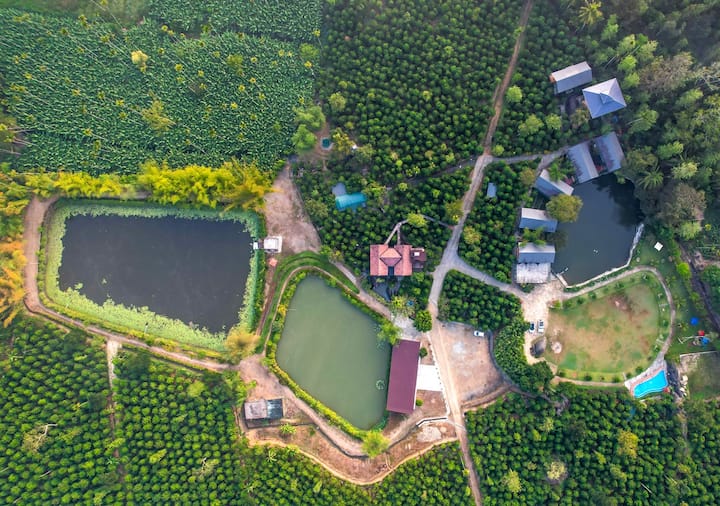 Aqua Front Room Inside Coffee Plantation - Wayanad - Wayanad